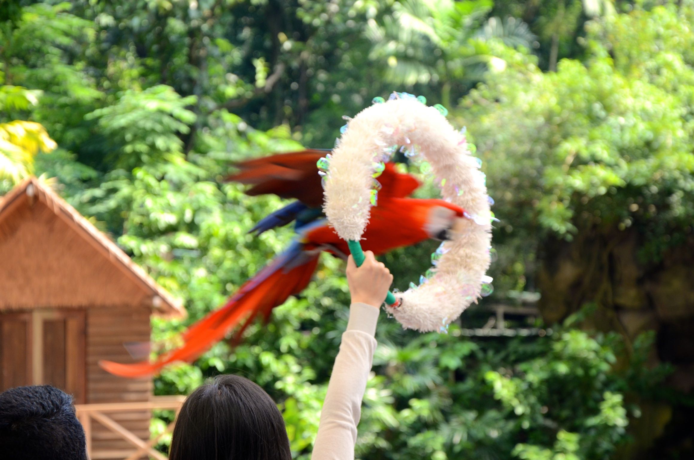 Set up Jupyter Notebook on AWS